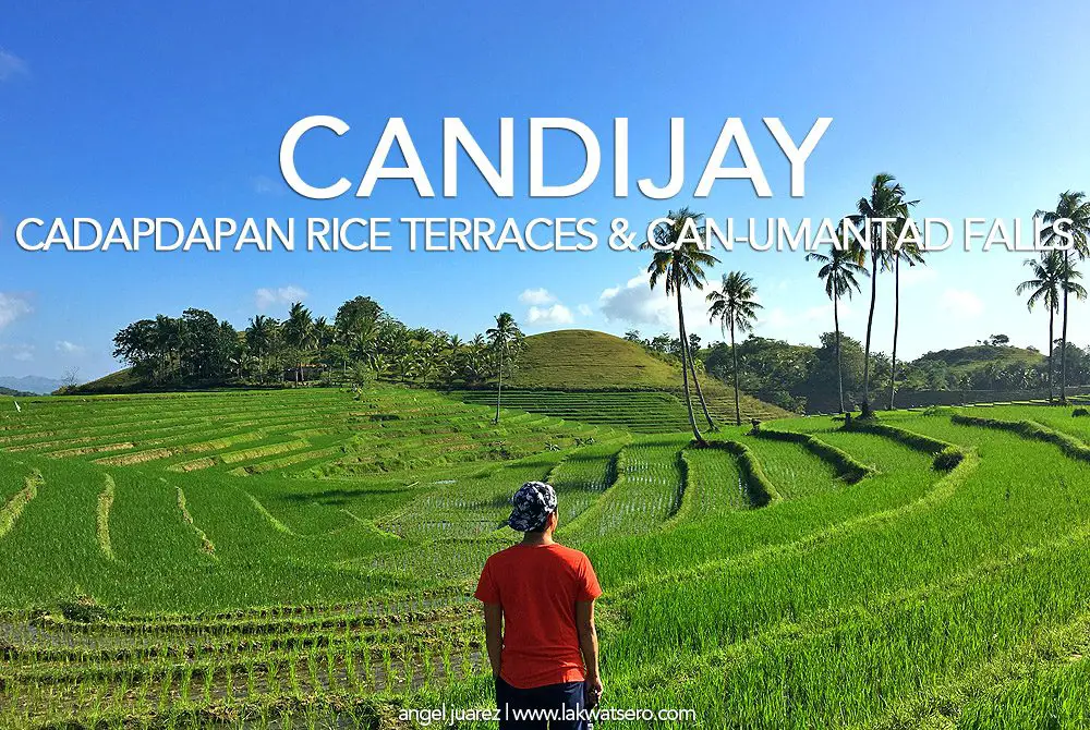 Treasures of Candijay (Bohol): Cadapdapan Rice Terraces and Can-Umantad ...