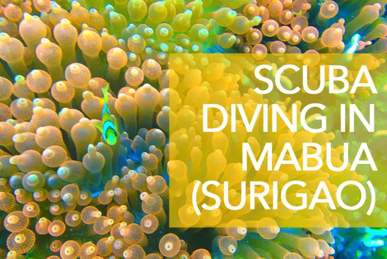 Surigao: Scuba Diving in Mabua | Lakwatsero