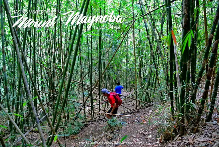 Chasing the Eight Wonderfalls of Mount Maynoba | Lakwatsero