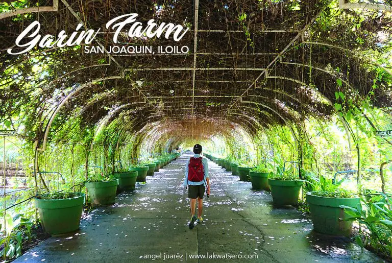 Garin Farm: A Unique Journey in Southern Iloilo | Lakwatsero